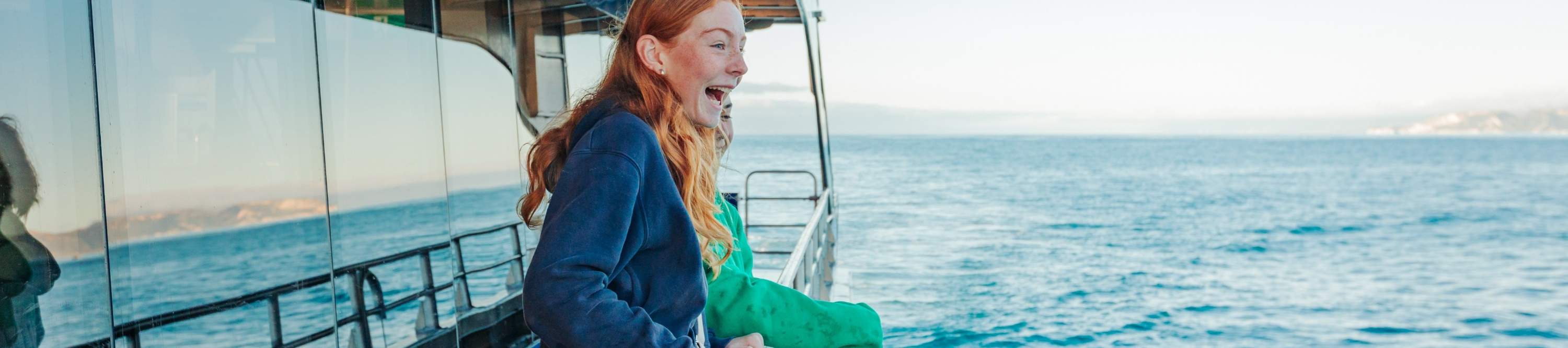 凯库拉赏鲸游船之旅 - Klook客路