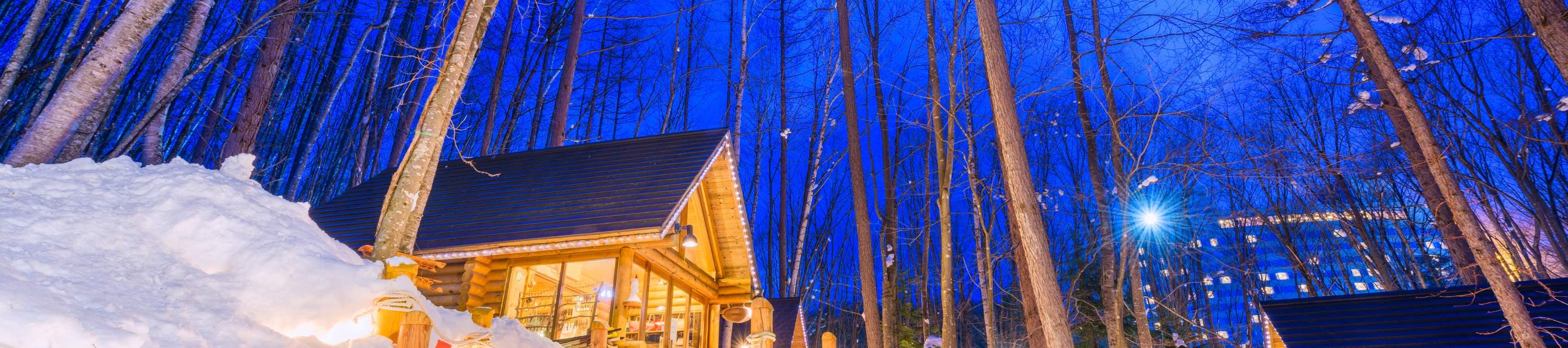 Asahiyama Zoo & Forest Fairy Terrace & Shikisai Hill One Day Tour ...