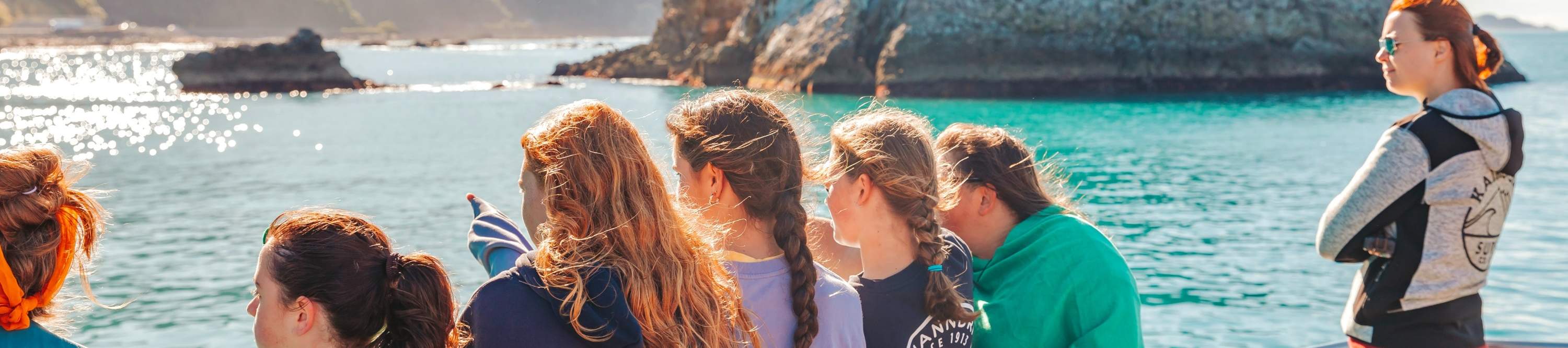 凯库拉赏鲸游船之旅 - Klook客路