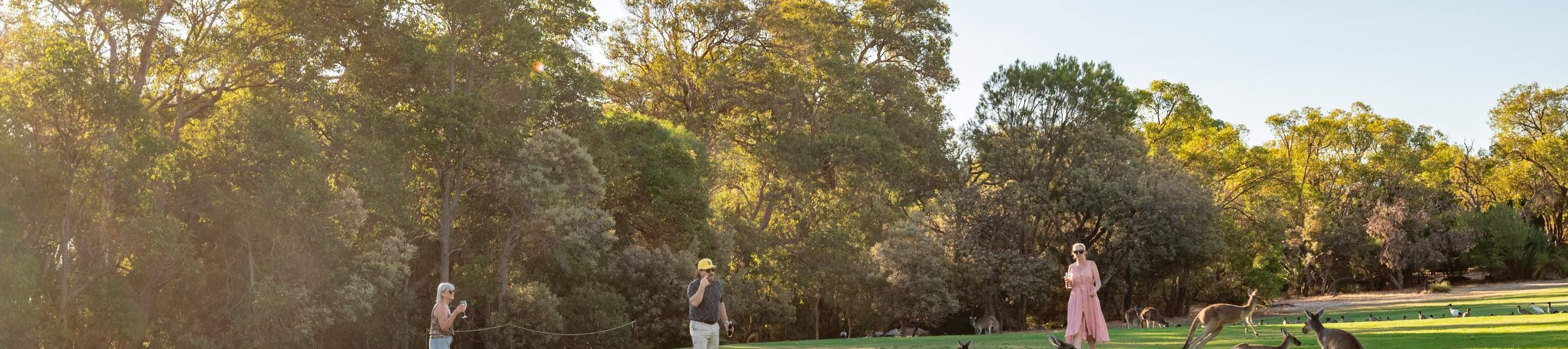 Kangaroo Safari & Mini-Golf in the Swan Valley - Klook Kangaroo Safari & Mini-Golf in the Swan Valley - Klook