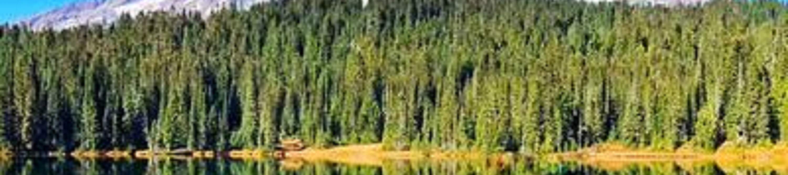 Tur Sehari Terpandu Taman Nasional Gunung Rainier - Klook Indonesia