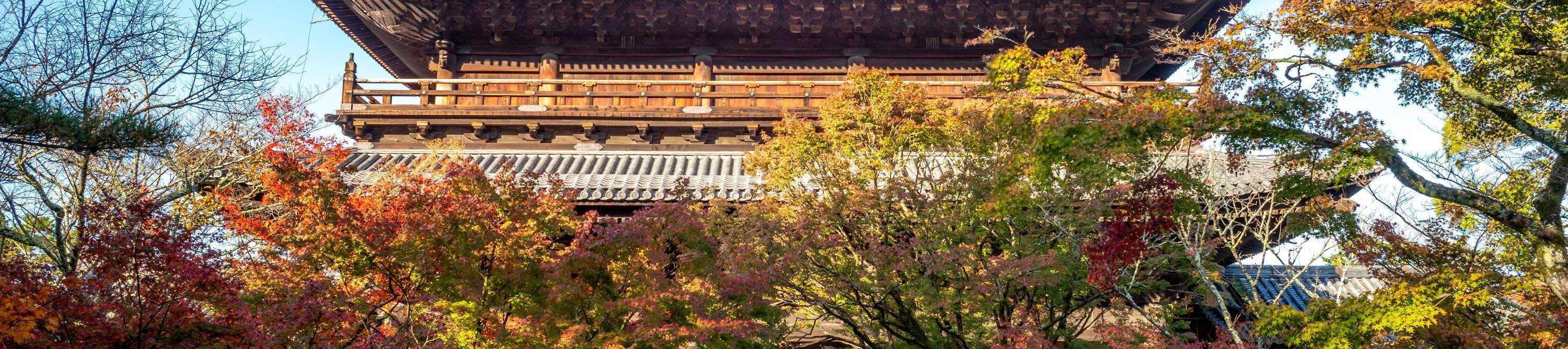Autumn in Kyoto: Minoh, Sagano Train, Arashiyama & Kinkakuji - Klook ...