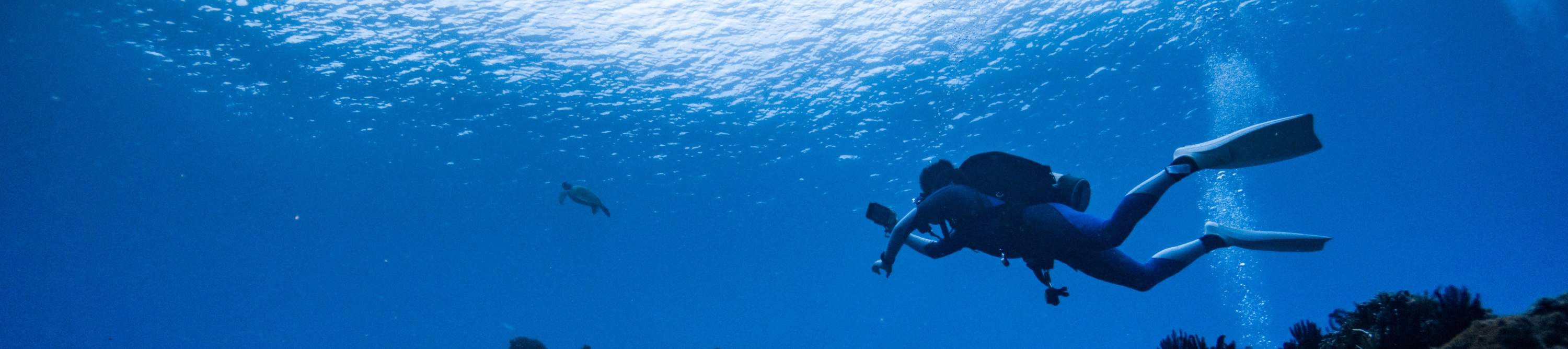 Hengchun Kenting｜Experience diving, tourist diving, diving courses ...