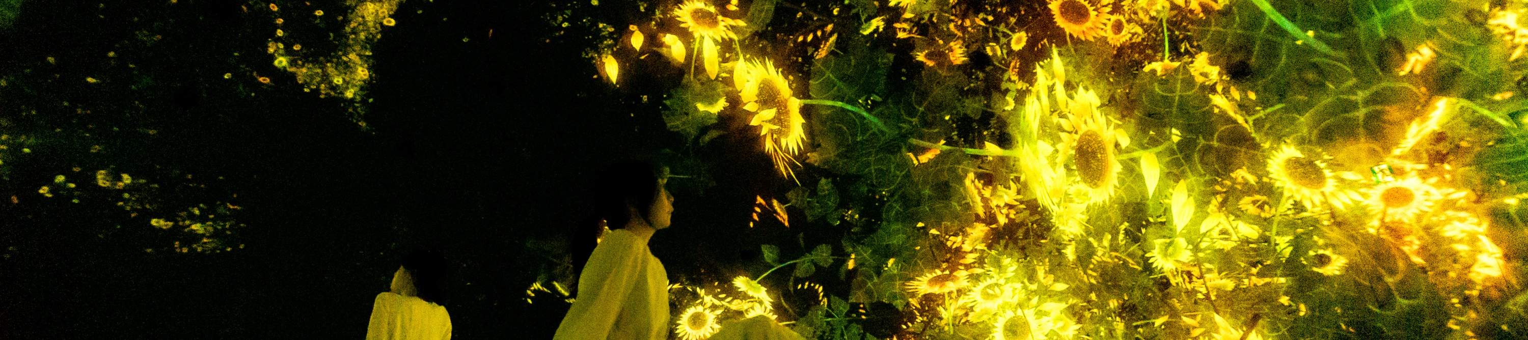 teamLab Planets Ticket - Klook