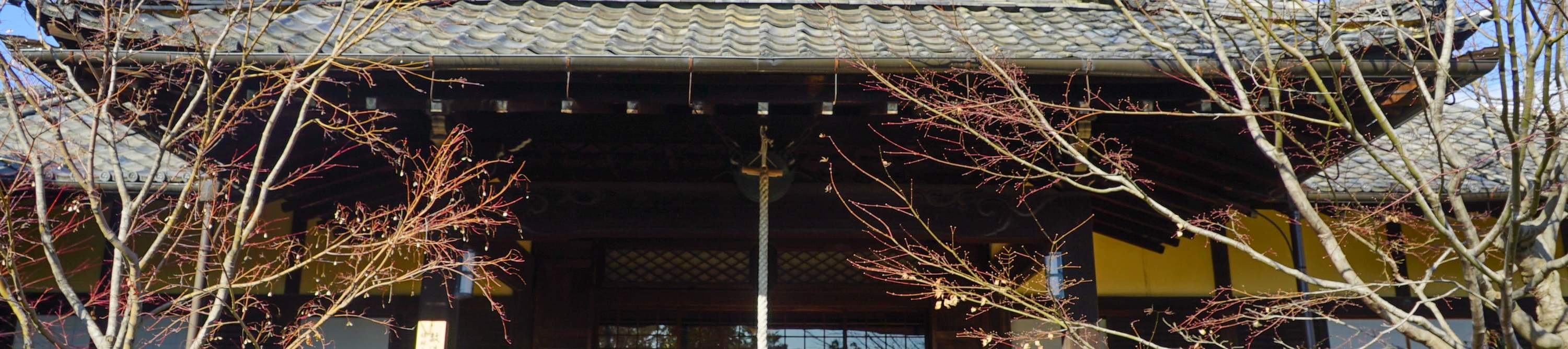 Kyoto Zen Meditation & Garden Tour at a Zen Temple with traditional Sho ...