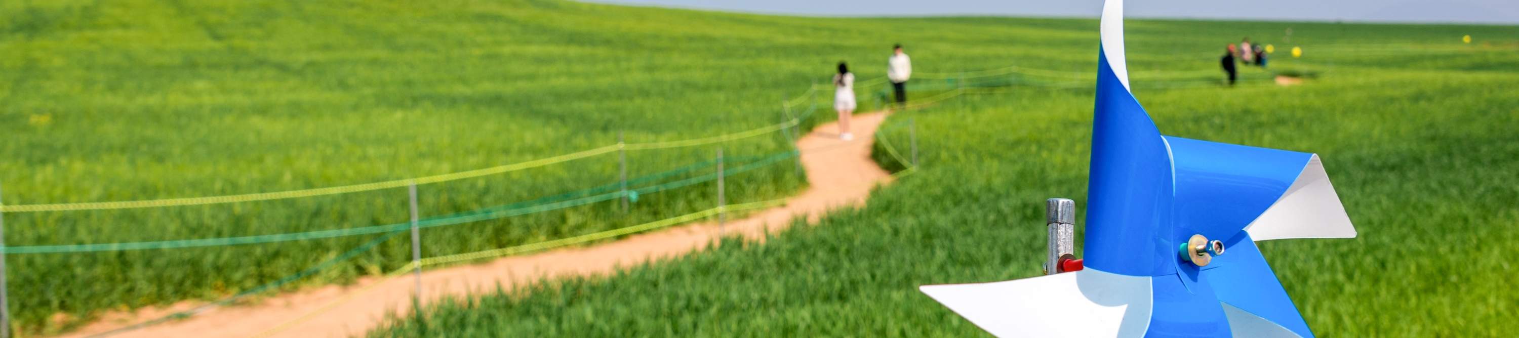 Jeonju & Green Barley Field - Klook