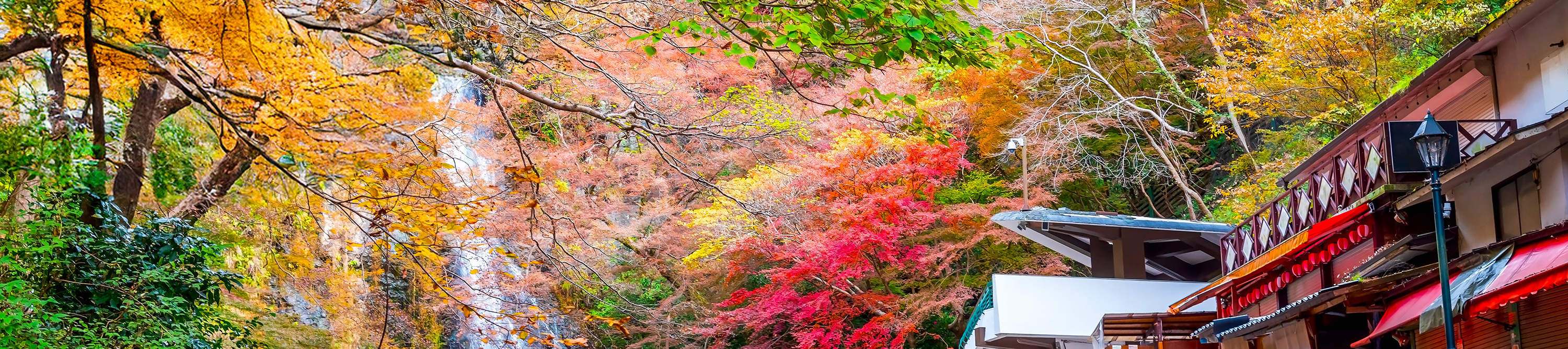 Autumn in Kyoto: Minoh, Sagano Train, Arashiyama & Kinkakuji - Klook ...