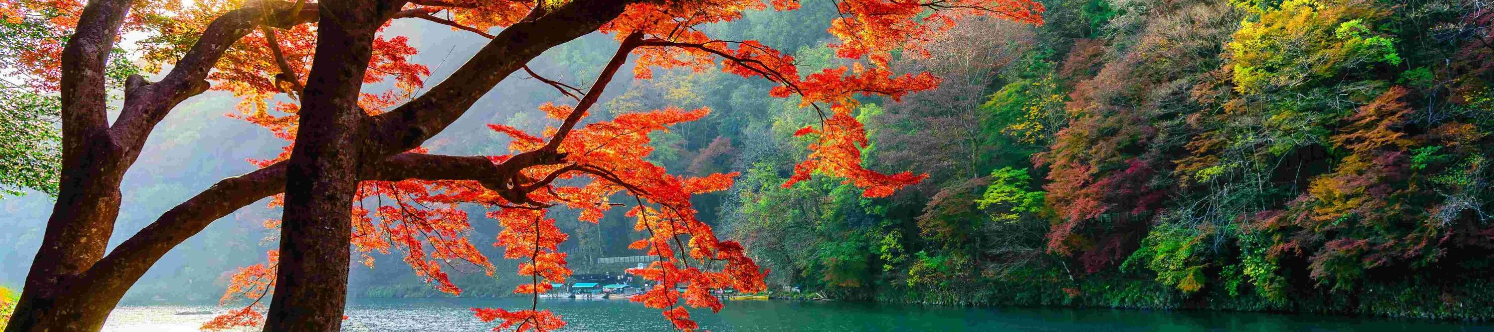 [Tour di un giorno a Kyoto, Nara e al trenino panoramico di Arashiyama ...