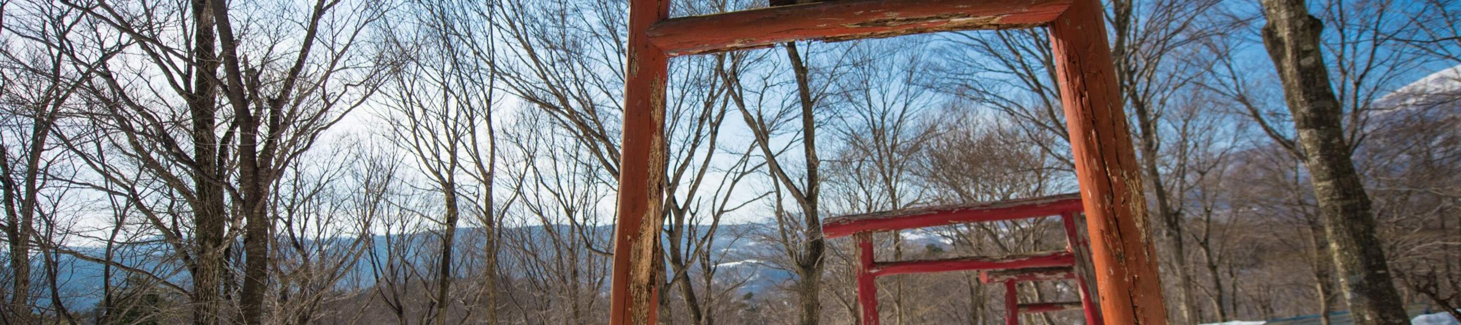 Snowy Zao Fox Village & Zao Onsen Day Tour from Sendai - Klook Hong Kong