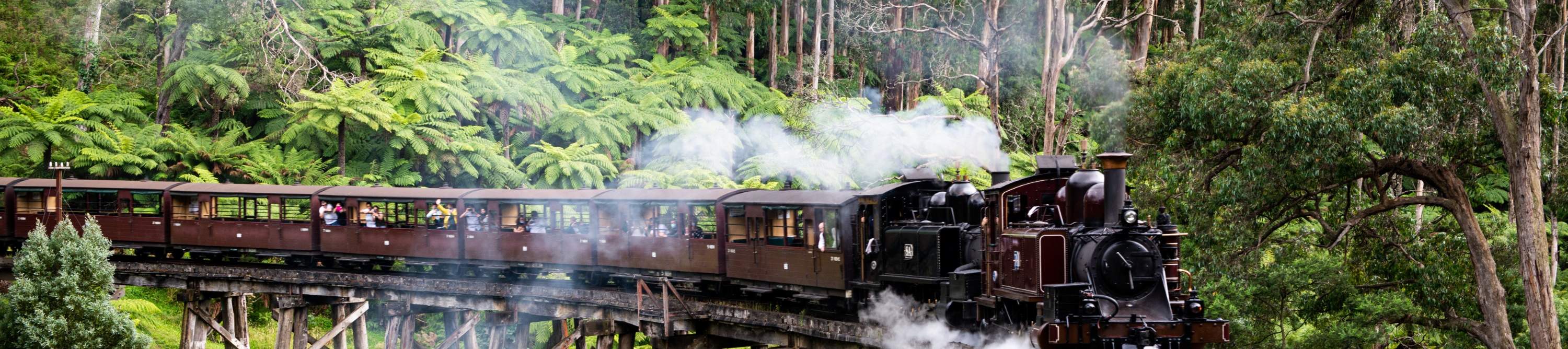 Puffing Billy and Penguins Day Tour from Melbourne - Klook Australia