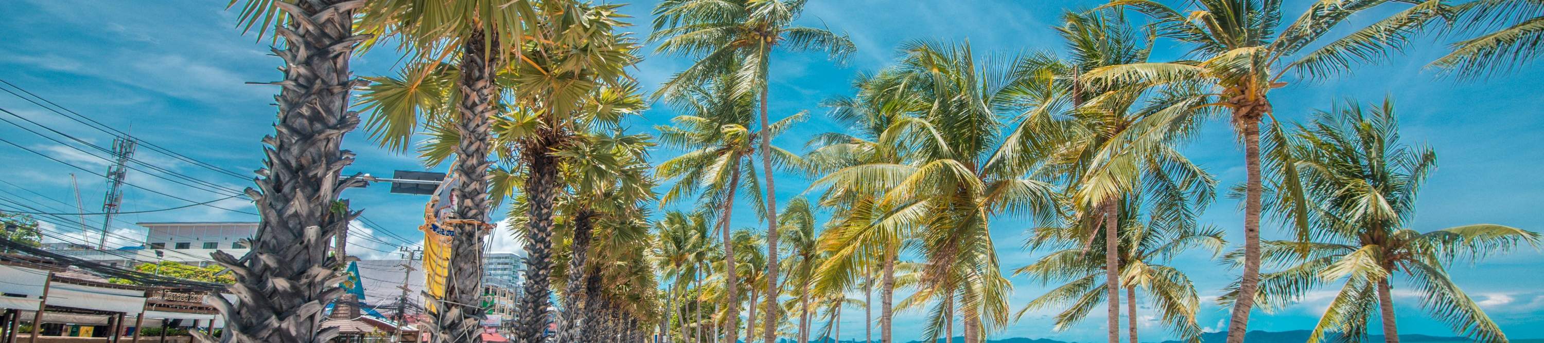 Bangkok - Pattaya Shared Van - Klook