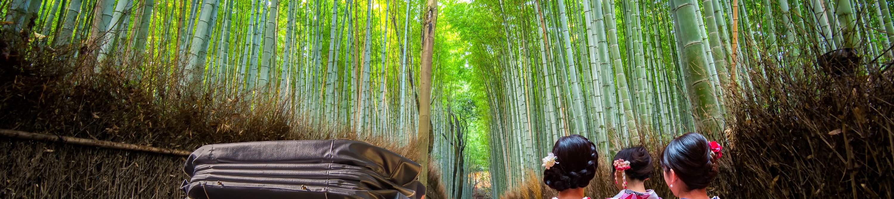 Explore Kyoto Arashiyama Bamboo Forest with Authentic Zen Experience ...