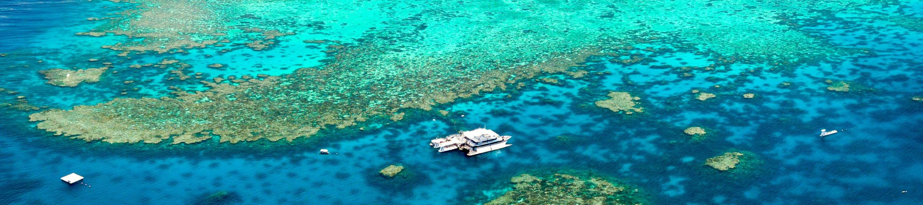 Outer Barrier Reef from Port Douglas - Klook