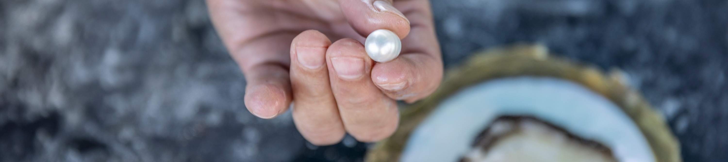 Paspaley Pearl Farm Tour - Klook Estados Unidos