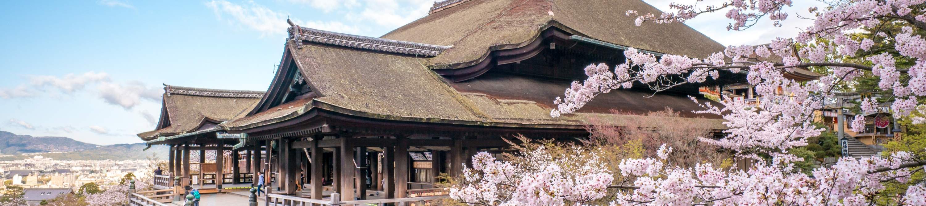 Perjalanan Sehari Kyoto Nara │ Kuil Kiyomizu + Kuil Fushimi Inari ...