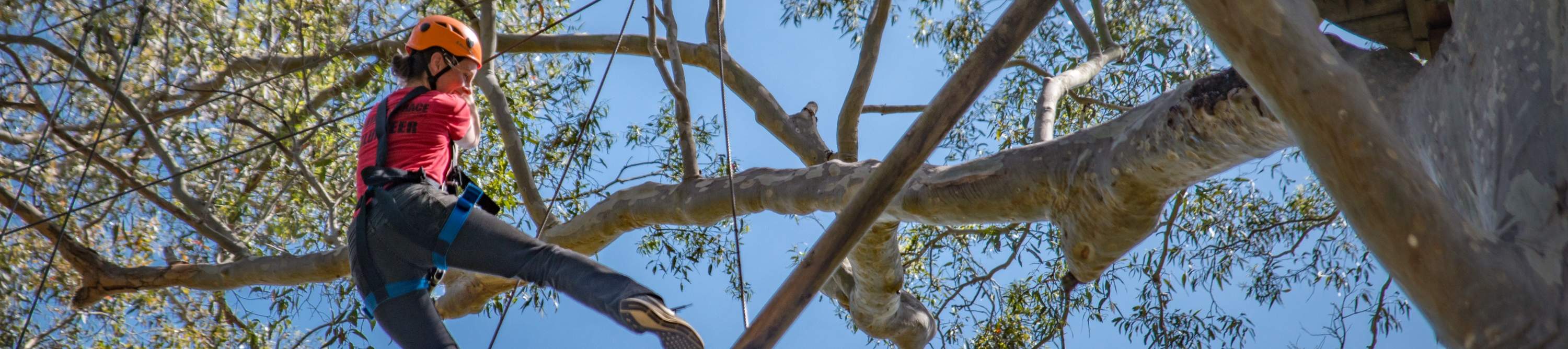 Ziplining in Western Sydney - Klook