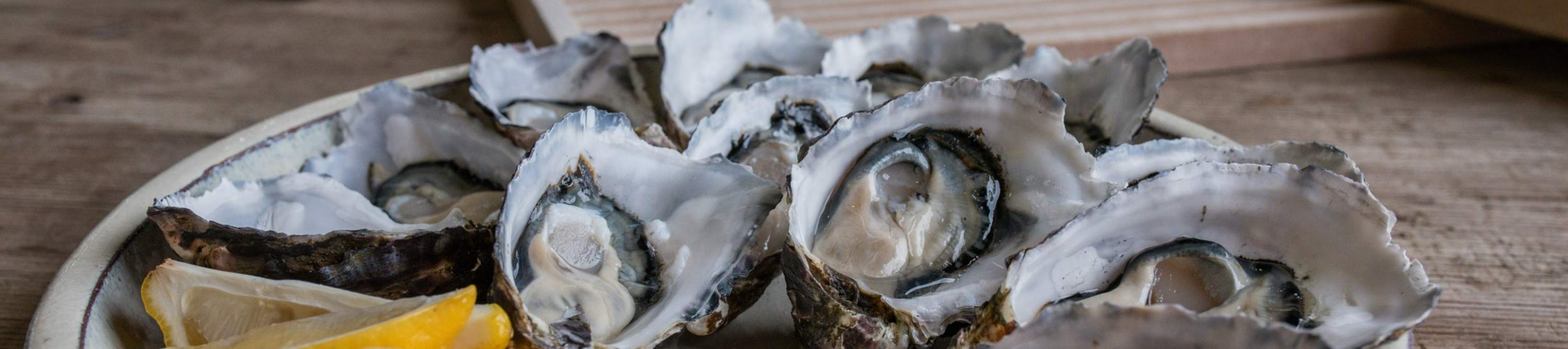 Broken Bay Pearl Farm Ultimate Experience - Klook Hong Kong
