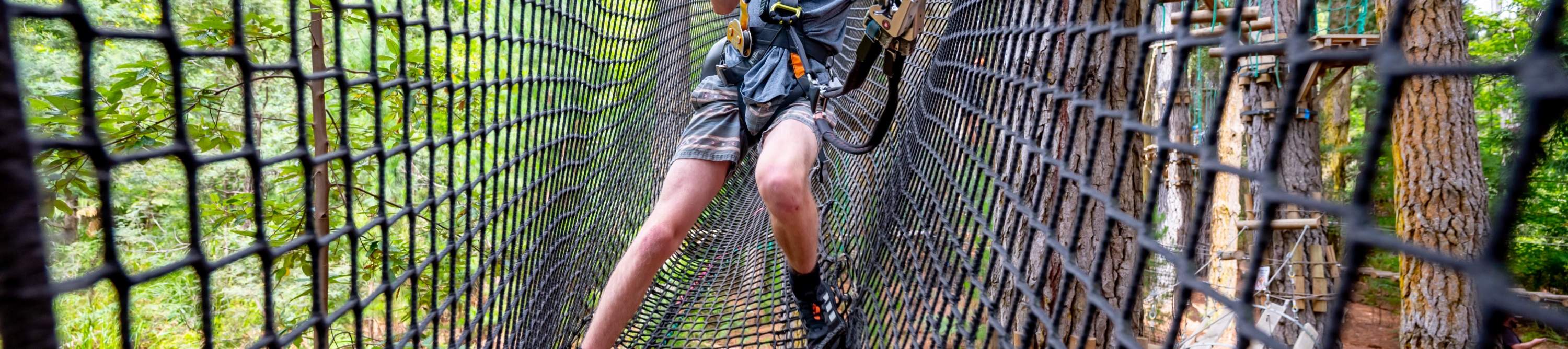 Hollybank Wilderness Adventures in Launceston - Klook