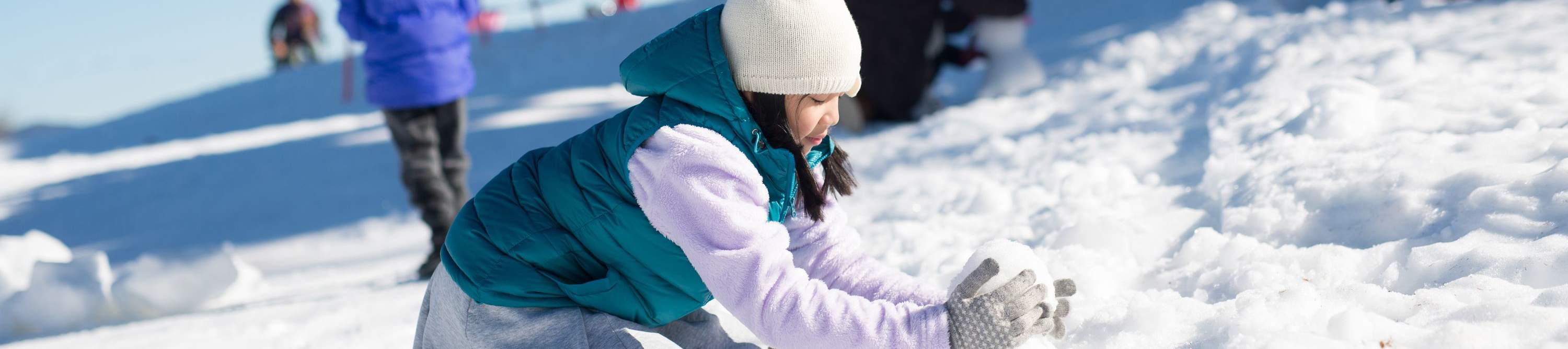 With Mt. Fuji View: Snow Fun at Fujiten & Oishi Park Sightseeing Tou ...