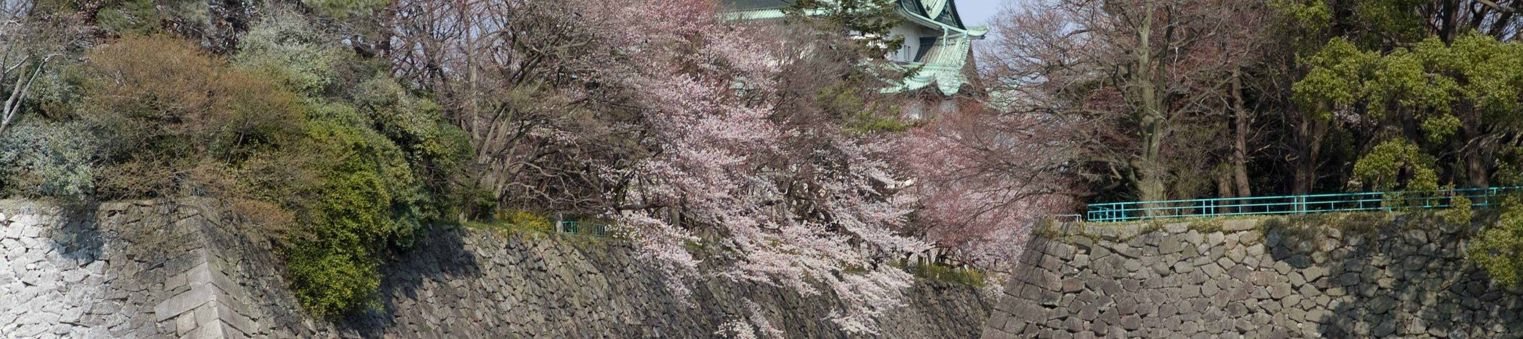 Nagoya and Tokugawaen and Nagoya Castle Join In Day Walking Tour with ...