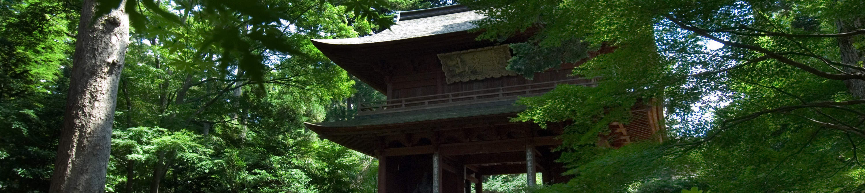 Kanazawa Walking Tour From Local to Major Highlights - Klook United States