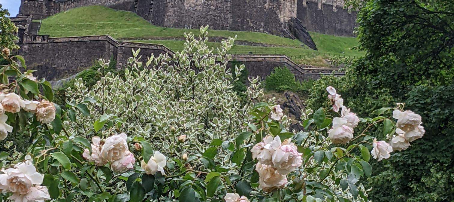 Tour di un giorno da Edimburgo a Loch Lomond, Stirling Castle e The ...