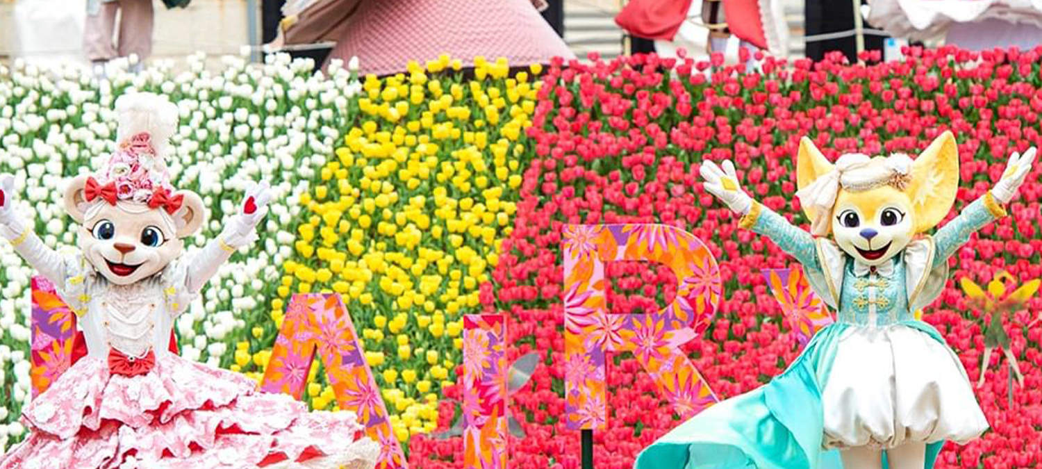 Everland Korea Theme Park Tickets - One Day Pass (QR Code Entry) - Klook