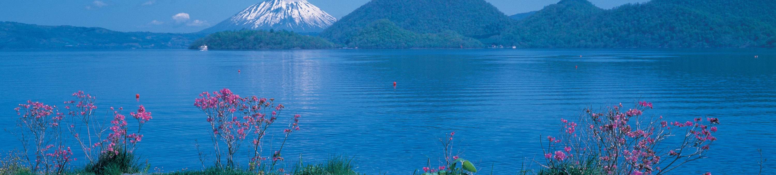 Otaru Cherry Blossom Viewing & Chitose Salmon Countercurrent & Lake ...