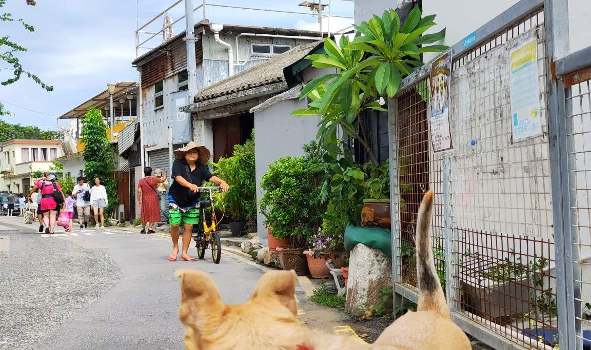 Shek O & Stanley One-day Trip | European-style and the filming location ...