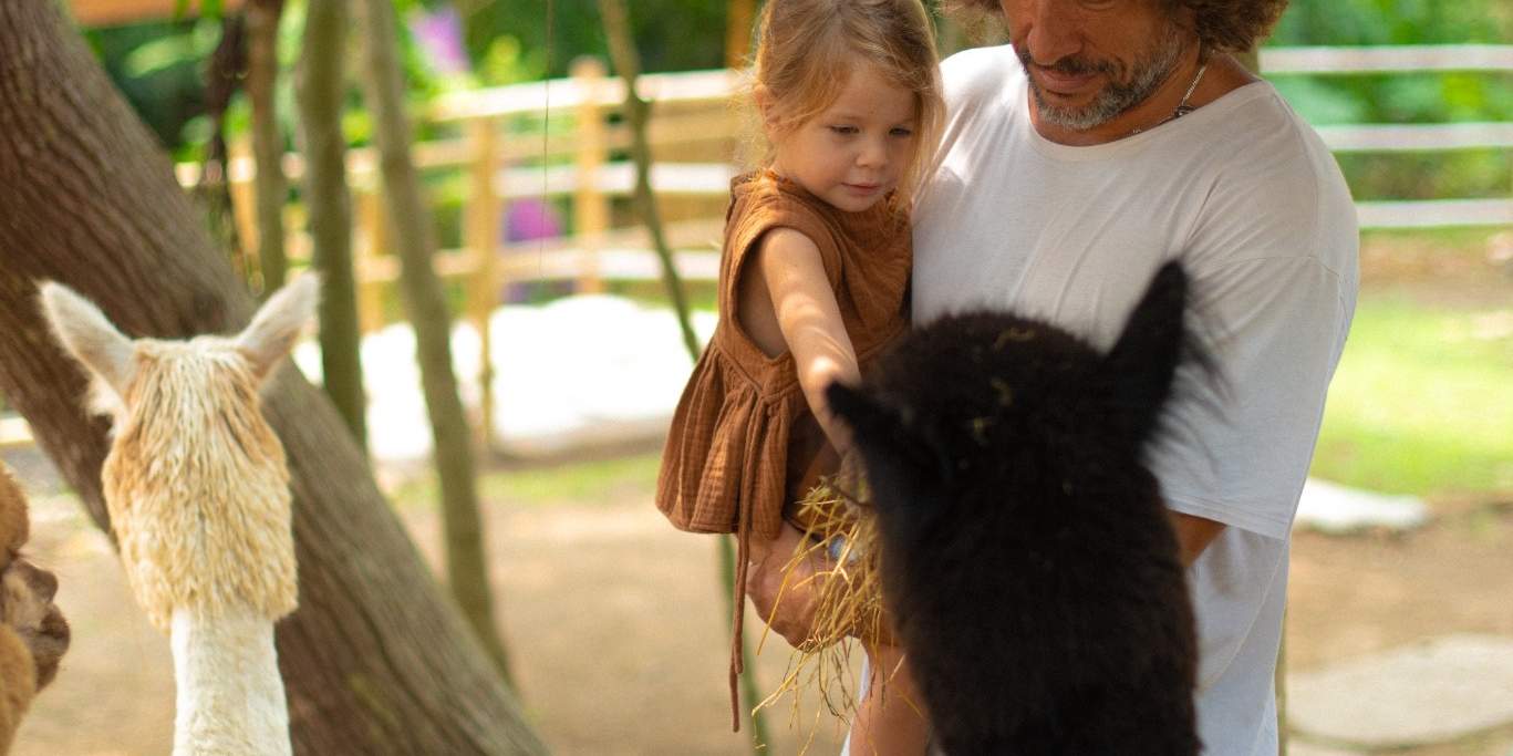 Pacha Alpaca Ticket in Nuanu Creative City Bali - Klook Hong Kong