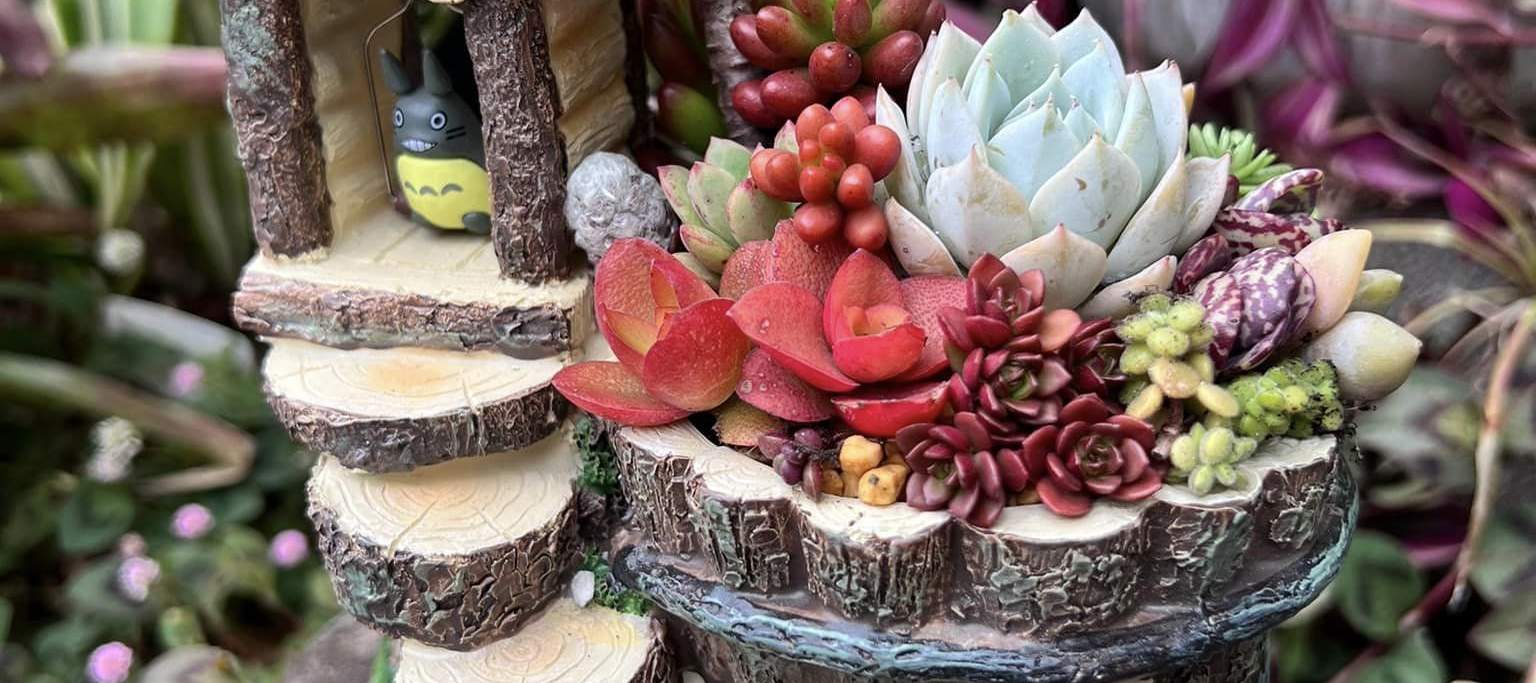 Yilan: DIY succulent plant potting experience - Klook