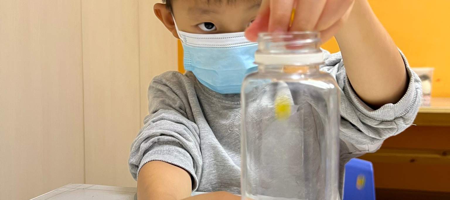 Half Day Children Mindful Nature Camp in Singapore - Klook United States