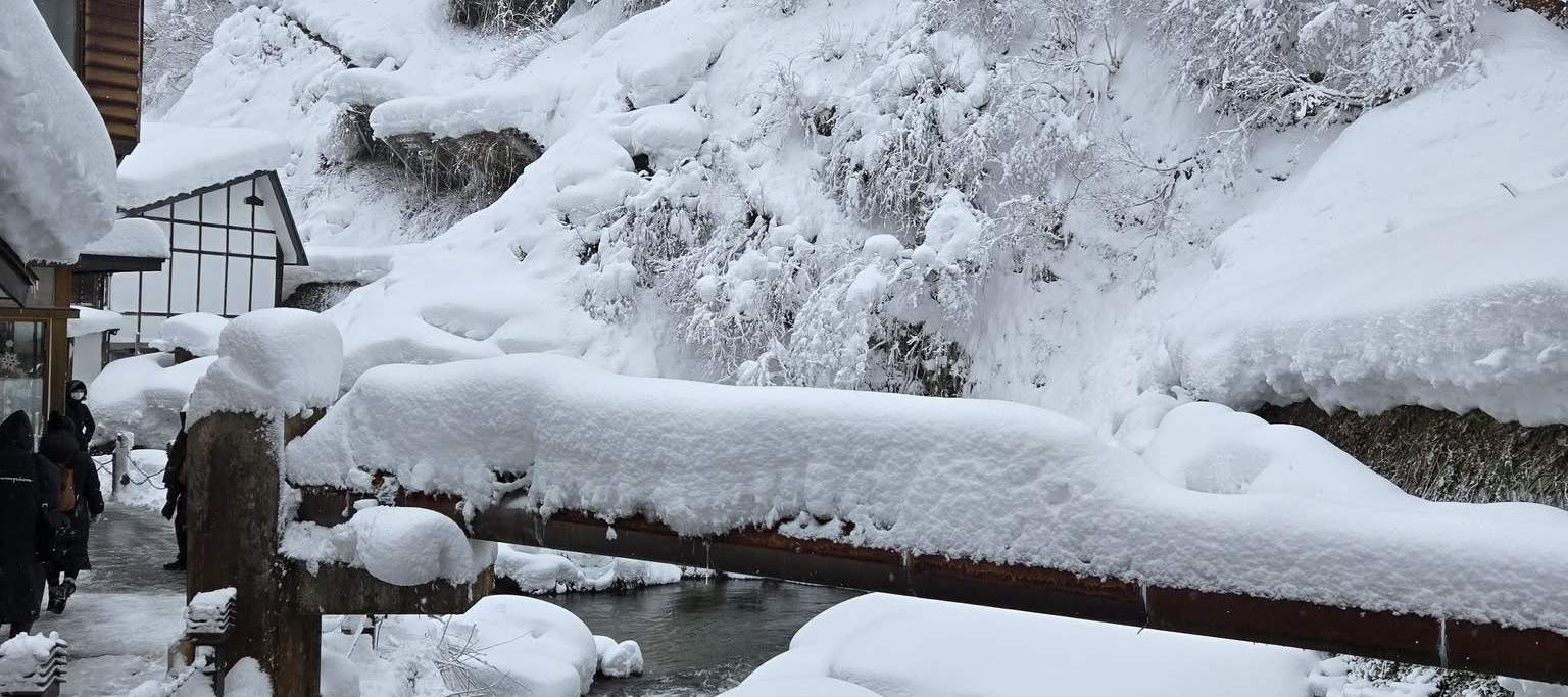 Ginzan Onsen & Zao Fox Village One Day Tour - Klook New Zealand