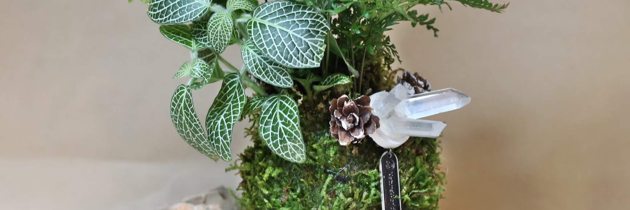 Taipei: Yuan Sheng Tai Studio - Floral Art & Plant Terrarium ...