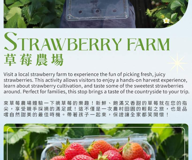 Eobi Ice Valley & Alpaca & Strawberry & Nami & Lighting Festival ...