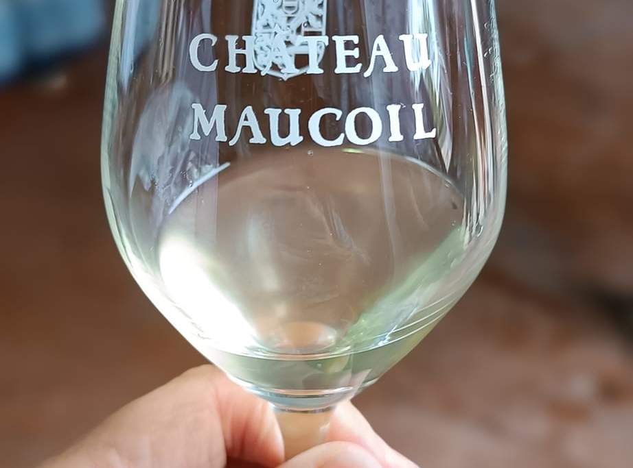 Indulge in Wine Tasting in Cote de Provence: Explore the Flavors of ...