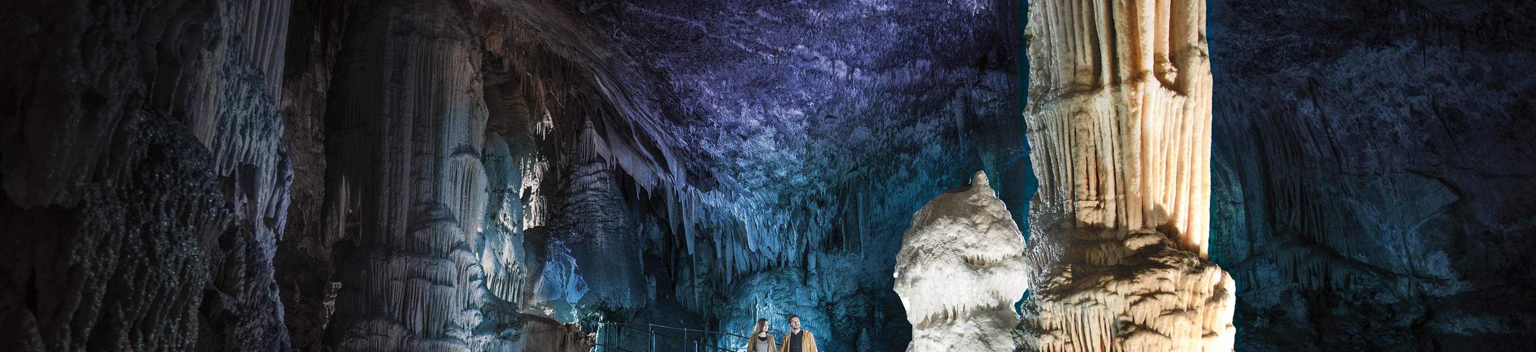 Lake Bled, Postojna Cave, & Predjama Castle Day Tour Bus Tour from ...