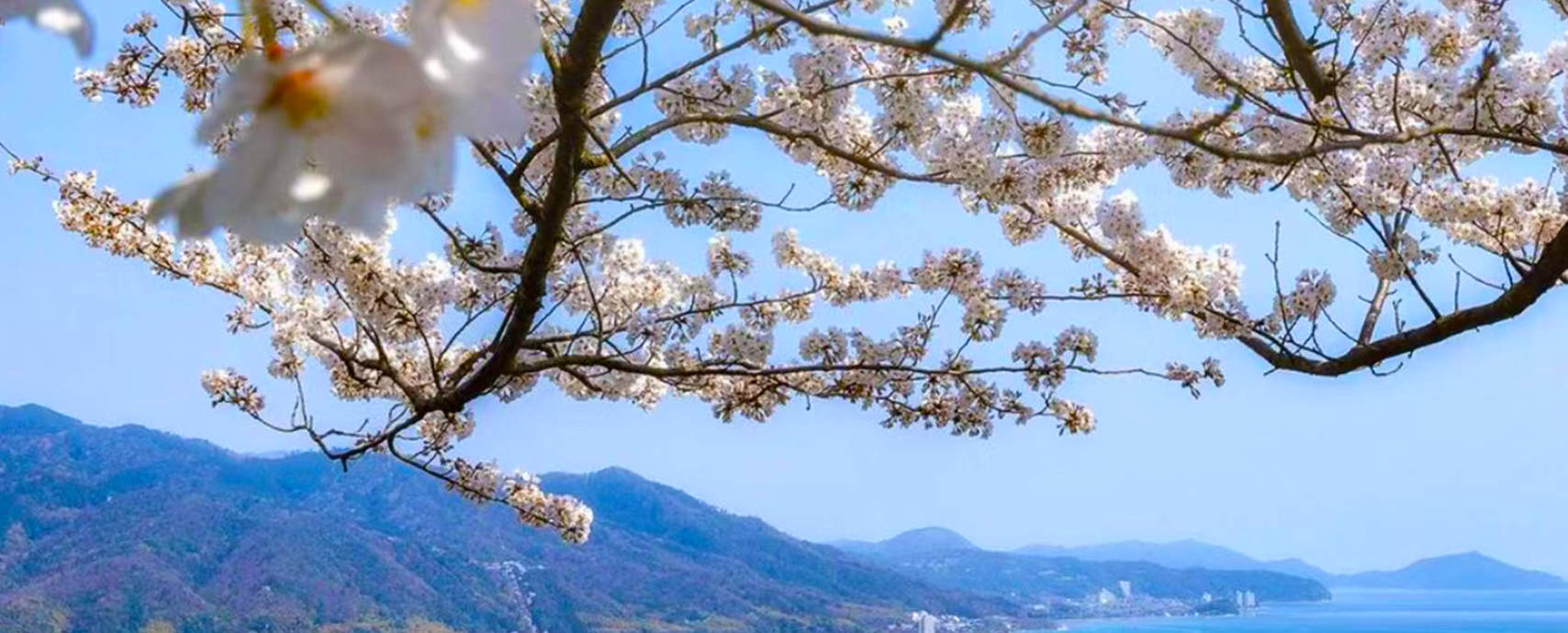 Jednodniowa wycieczka do Kioto, Amanohashidate i Ine Funaya oraz wioski ...