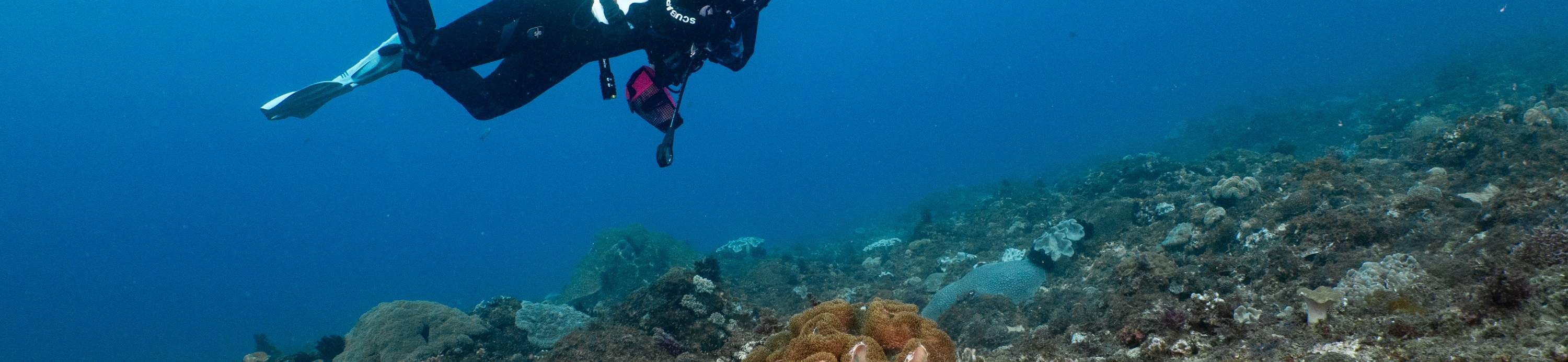 Pingtung Kenting Blue Hole Diving Experience Diving・PADI OW Beginner ...