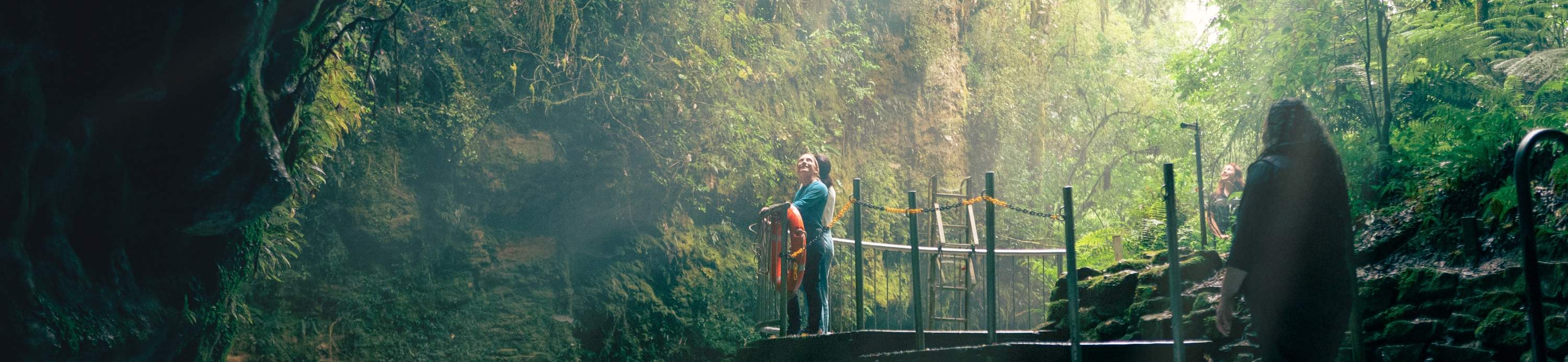 Tour nhóm nhỏ Phim trường Hobbiton & Hang Waitomo từ Auckland - Klook ...