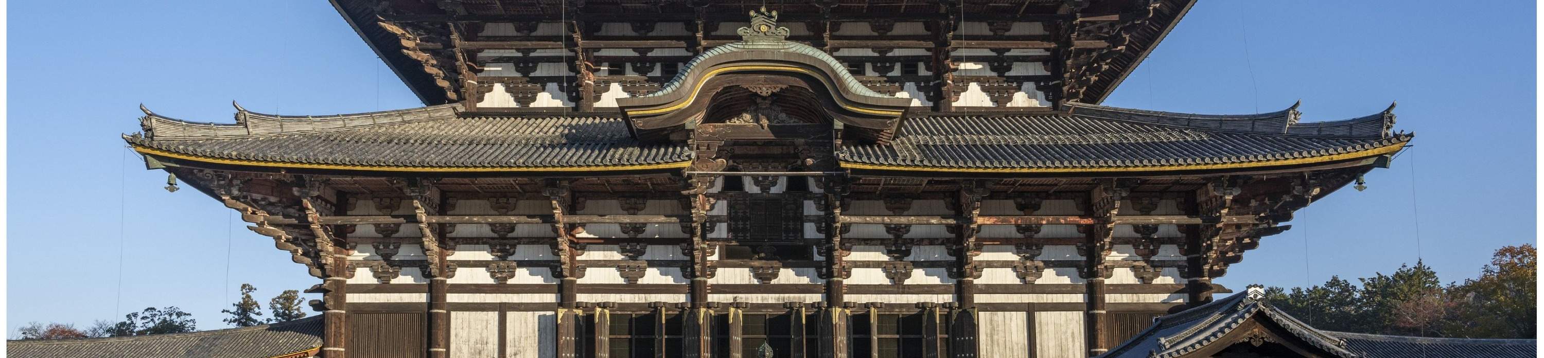 English guided sightseeing bus "Perfect Nara Park Tour" - Klook United ...