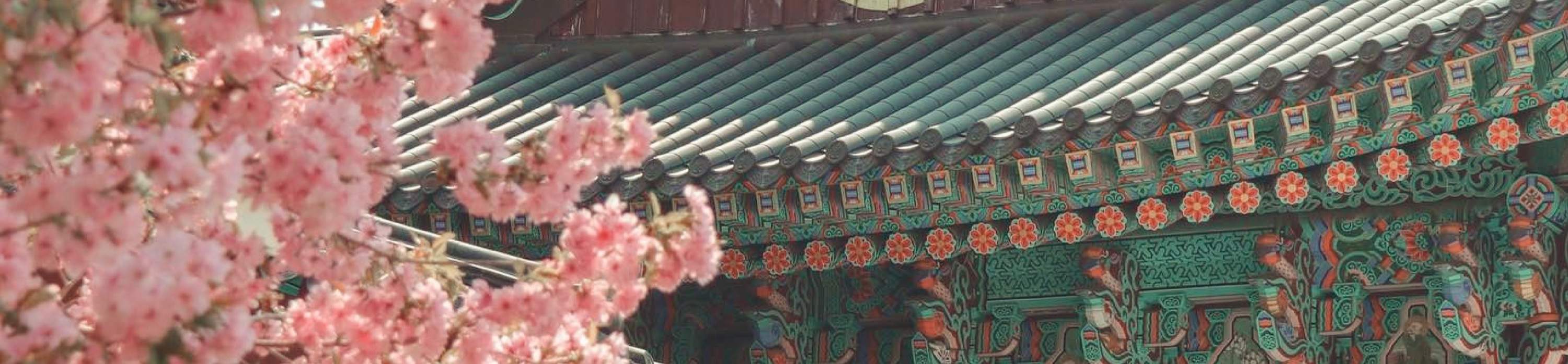 Cherry Blossom Suwon Hwaseong Fortress Tour from Seoul - Klook United ...