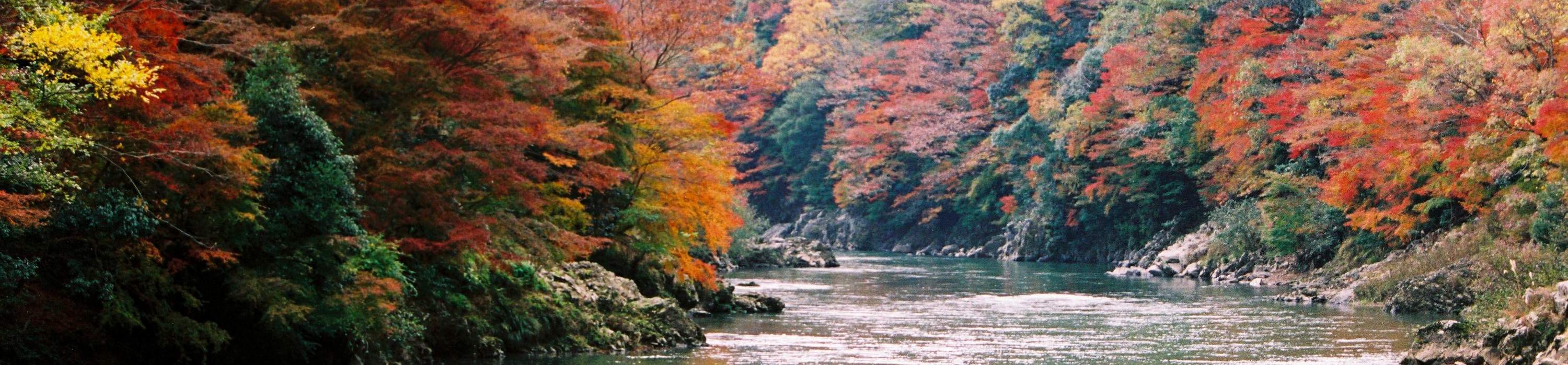 Arashiyama Scenic Train & Hozugawa River Boat Ride Day Trip (From Osaka ...