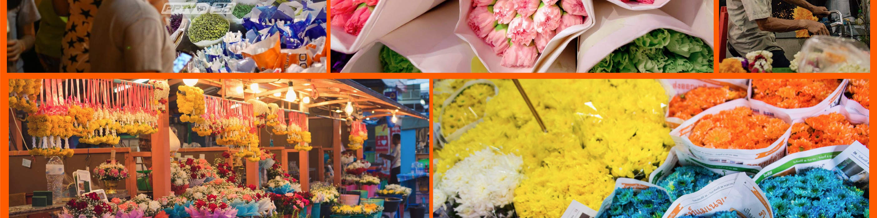 Tour di un giorno al Grande Palazzo Reale, Pak Klong Talad e Wat Arun ...