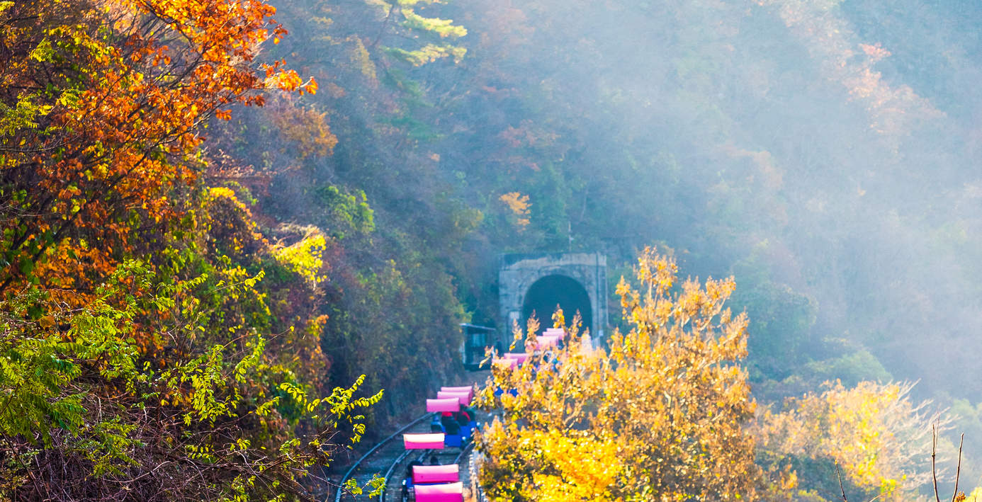 Strawberry picking, Eobi ice Valley, Nami Island Tour - Klook