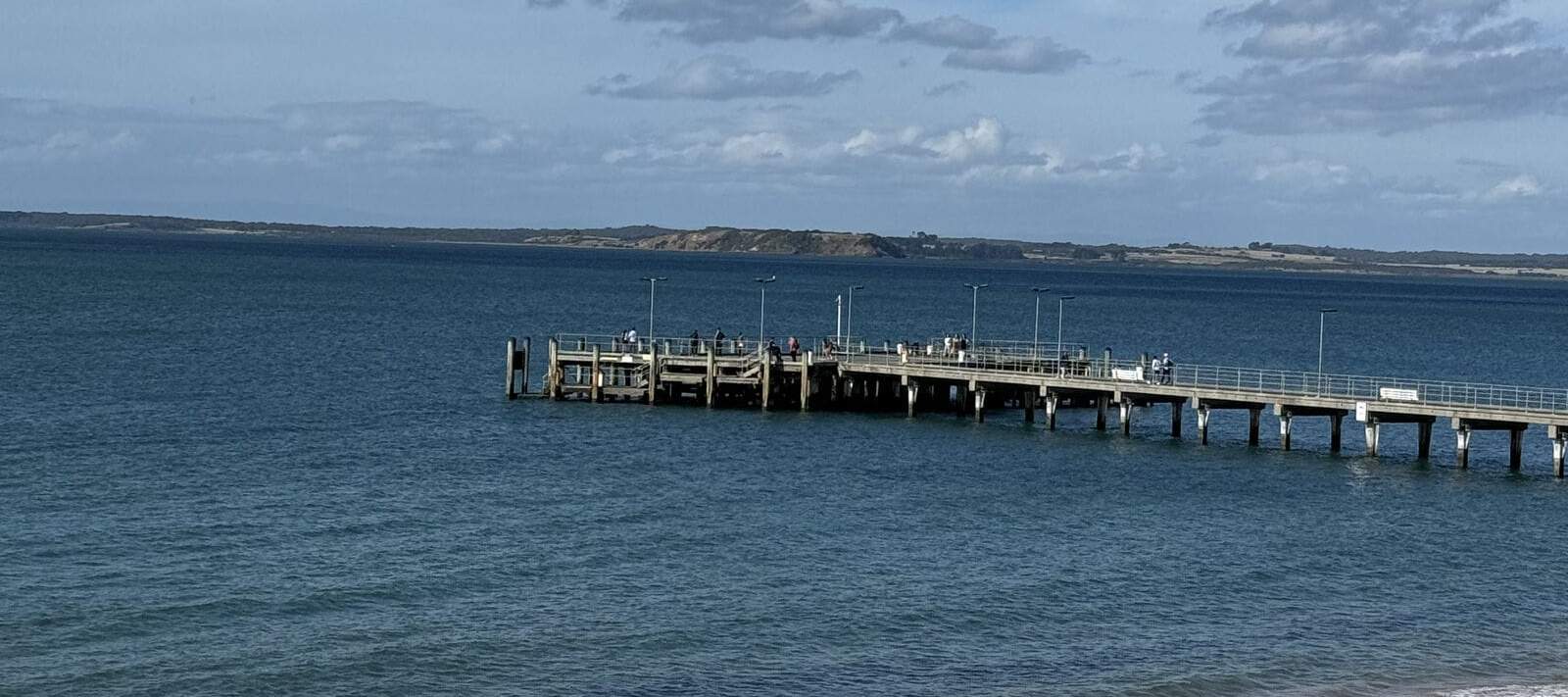 Philip Island Penguin Parade Tours from Melbourne - Klook Singapore