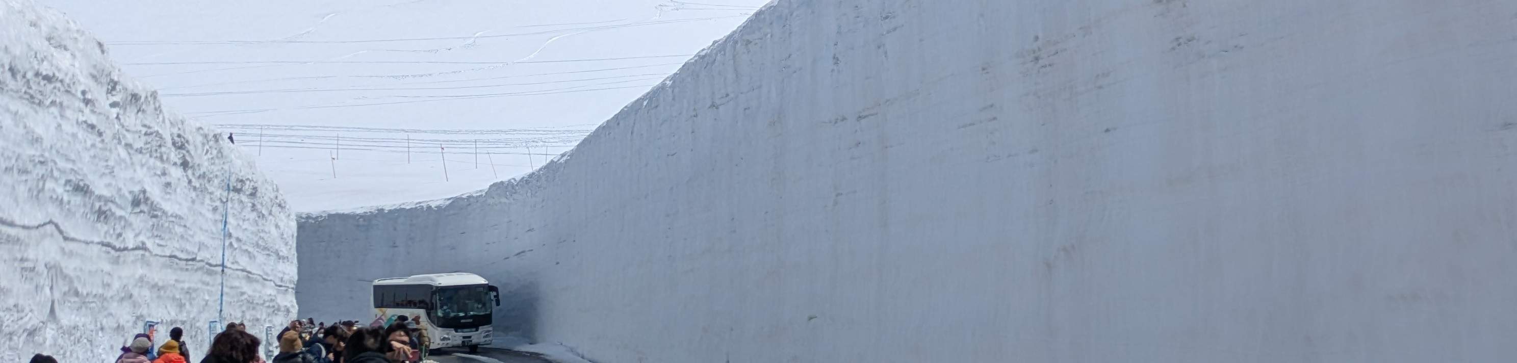 Tateyama Snow Walls and Zuiryuji Temple Join In Day Bus Tour from ...