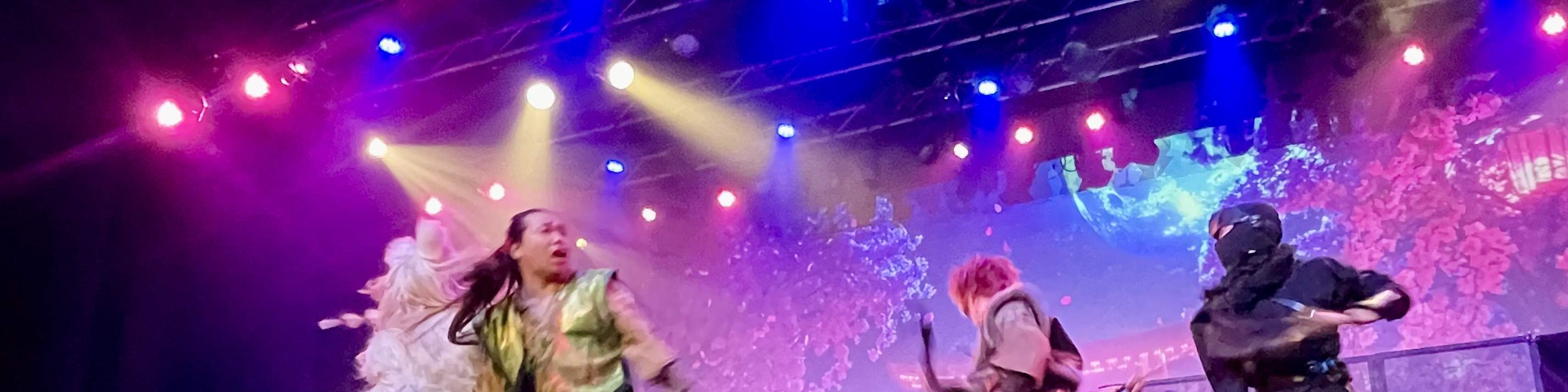 Ninja Show in Osaka - Klook