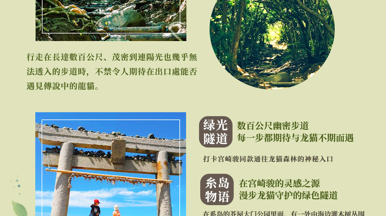 One-day trip to Itoshima, Kyushu, Japan | Shiraito Falls, Totoro Forest ...