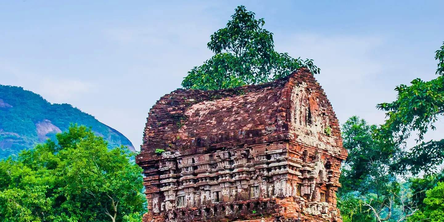 Lawatan Hari Sanctuary Anakku yang Menakjubkan - Klook Amerika Syarikat
